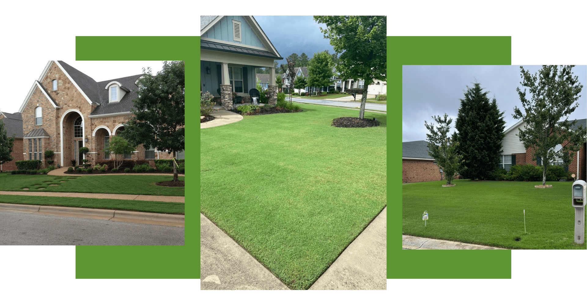 Premium Lawn Care, Fertilization & Weed Control Services | Augusta ...